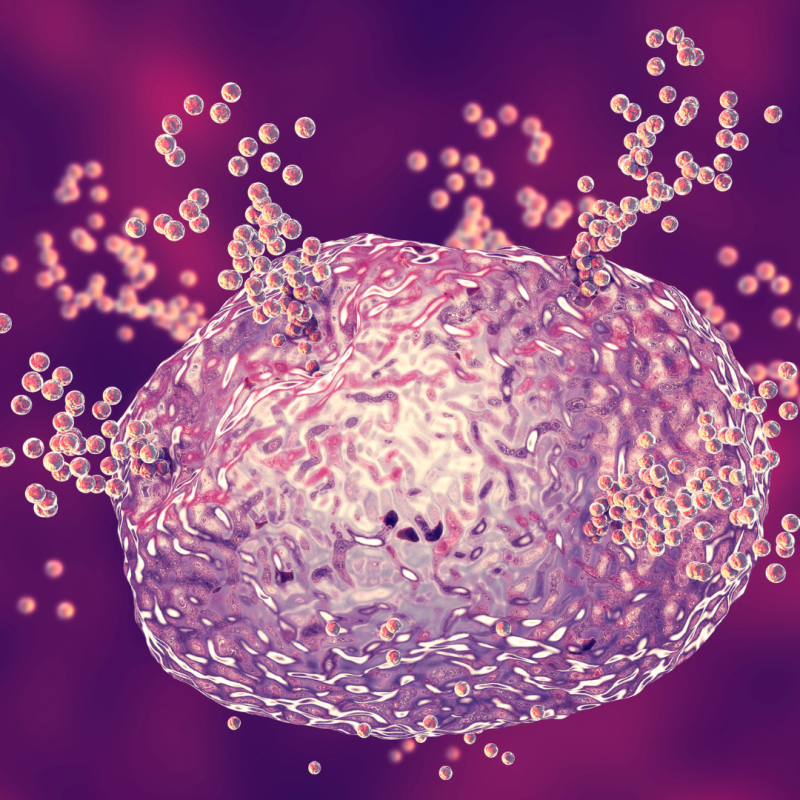 What is Histamine - Psoriasis and Eczema Clinic